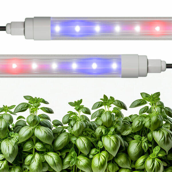 How to grow tomatoes indoors with Full Spectrum LED grow lights – Grow ...